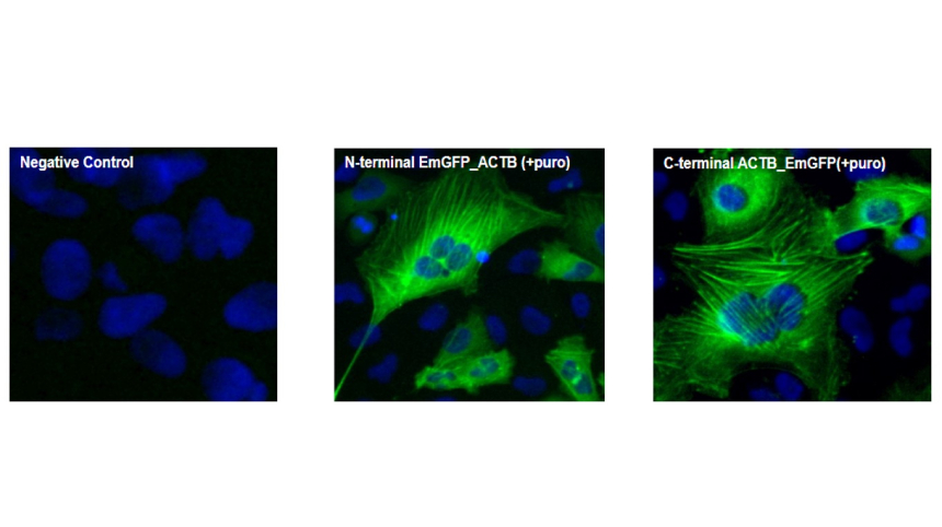 บริษัท กิบไทย จำกัด ผู้นำเข้าและจัดจำหน่าย เครื่องมือวิทยาศาสตร์ ...