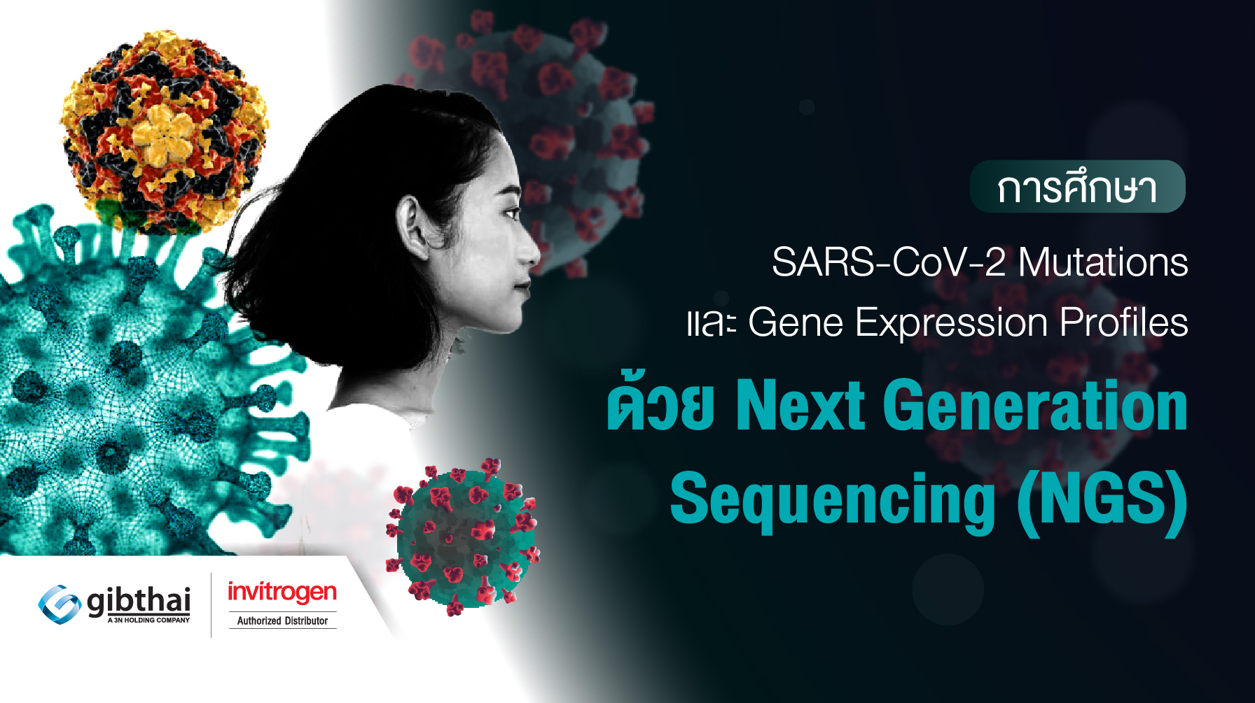 บริษัท กิบไทย จำกัด ผู้นำเข้าและจัดจำหน่าย เครื่องมือวิทยาศาสตร์ ...